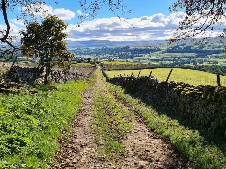 Mill Gill Force and Whitfield Gill Force loop from Askrigg — Yorkshire ...