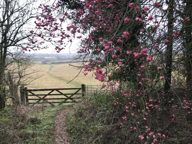 Chastleton nach Adlestrop Schleife über Chastleton House - Die ...