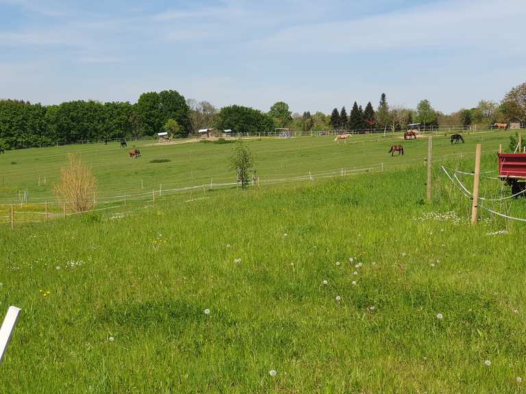 Pferdekoppel in Gaggenau-Winkel: Mountainbike-Touren und -Trails | komoot