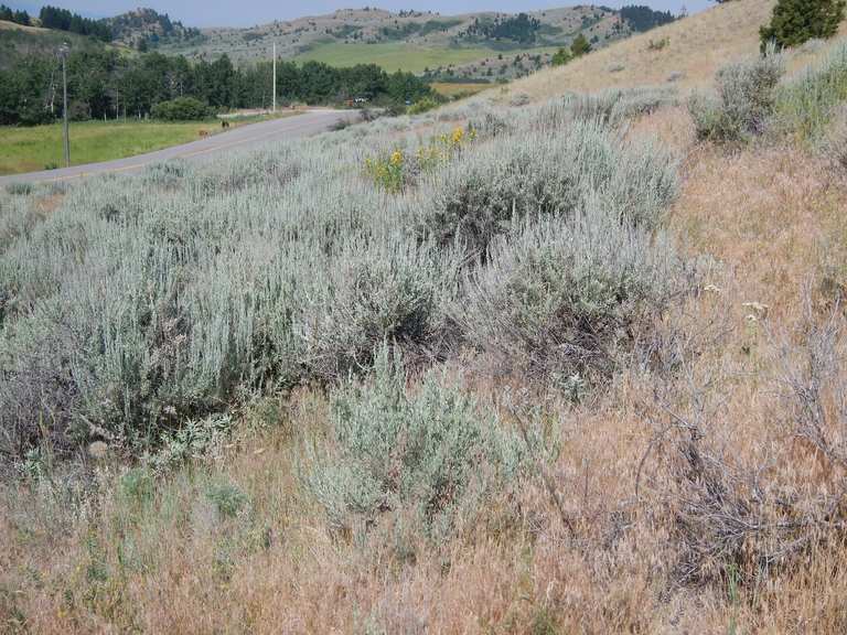 Kelly Canyon Road and Bridger Canyon loop — Bozeman, Montana | ride ...