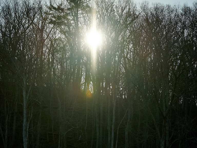 Cool Spring Battlefield Routes for Walking and Hiking | Komoot