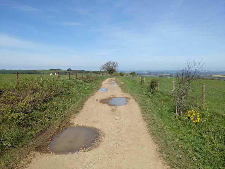 Wayfarers Walk on Bike - Combe Gibbet to Ladle Hill Cycle Routes and ...
