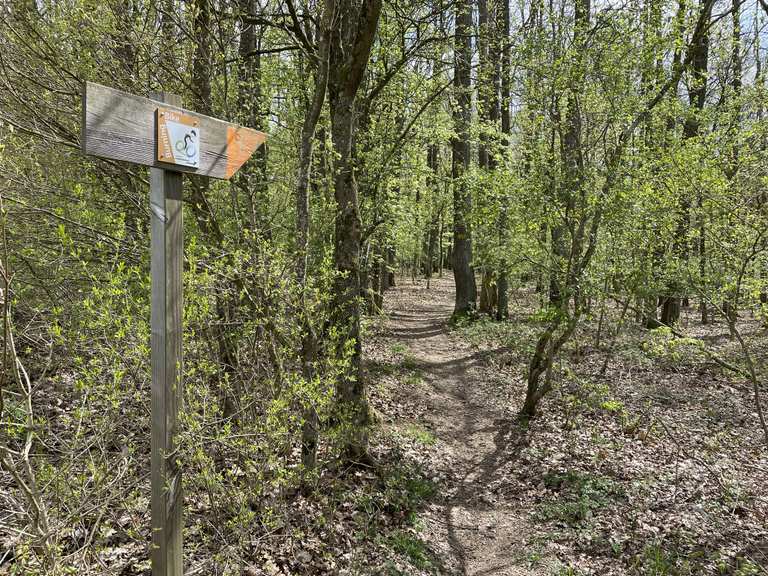 Tramo Burning Bike Trail: Rutas MTB | Komoot