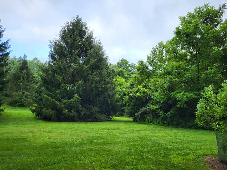 Shaker Trace Outer Loop Trail — Miami Whitewater Forest | hike | Komoot