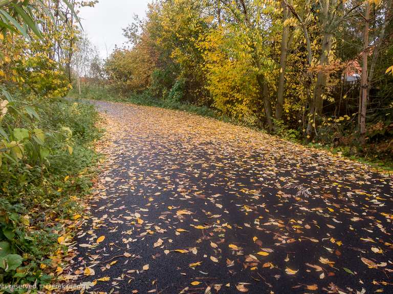 The Comber Greenway Cycle Routes and Map | Komoot
