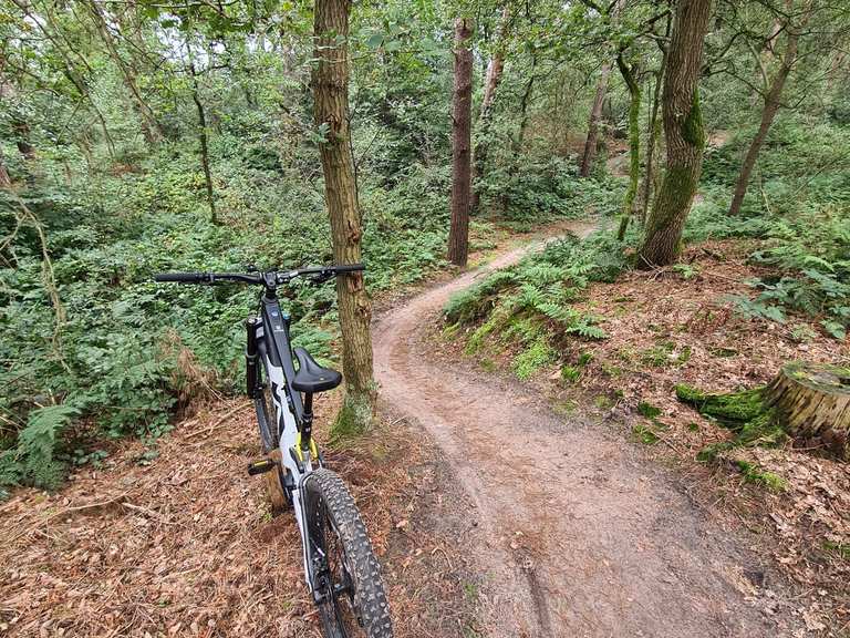 Slingeren door het bos (MTB-route De Schaak): MTB-routes en trails | Komoot