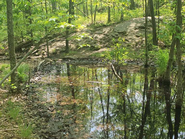 Bull Hill Loop from Cold Spring — Hudson Highlands State Park Preserve ...