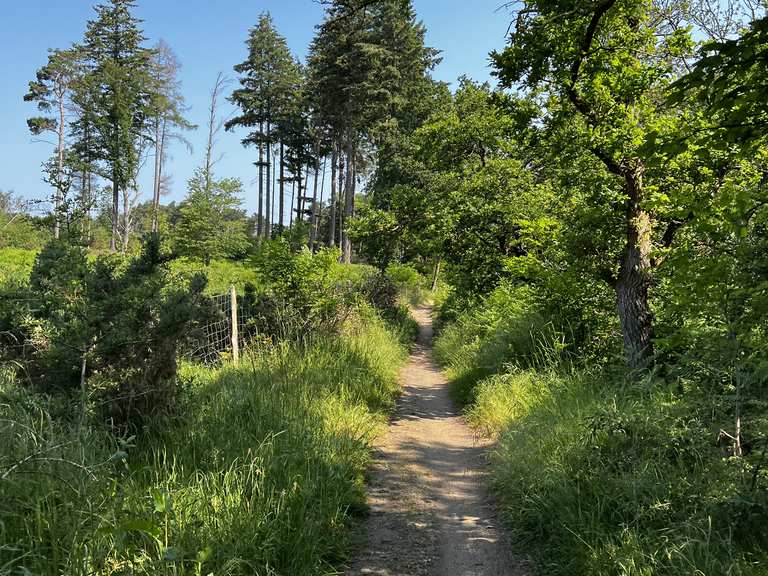 Pierrepont Farm: Mountainbike-Touren und -Trails | komoot