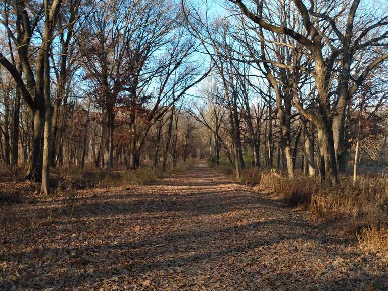 Dan McMahon Woods to Spear Woods loop via Palos Tan Unpaved Trail ...