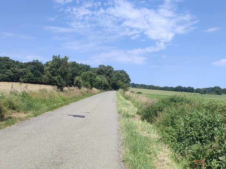 Panoramastrecke D103: Radtouren und Radwege | komoot
