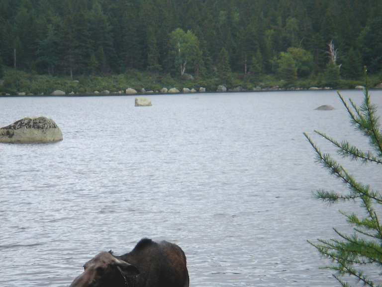 Sandy Stream Pond & Russell Pond loop — Baxter State Park | run | Komoot