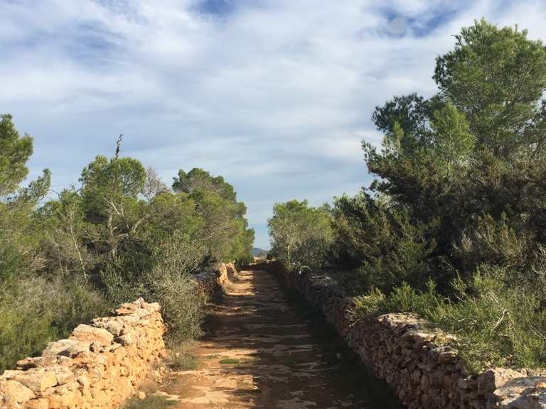 Es Cap de Barbaria y Torre des Garroveret — circular gravel por el ...