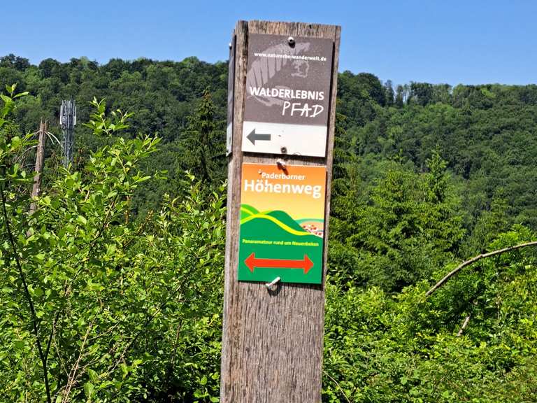 Wanderweg im Wald: Wanderungen und Rundwege | komoot