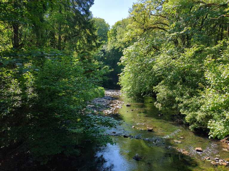 Along the river Aeron: Wanderungen und Rundwege | komoot