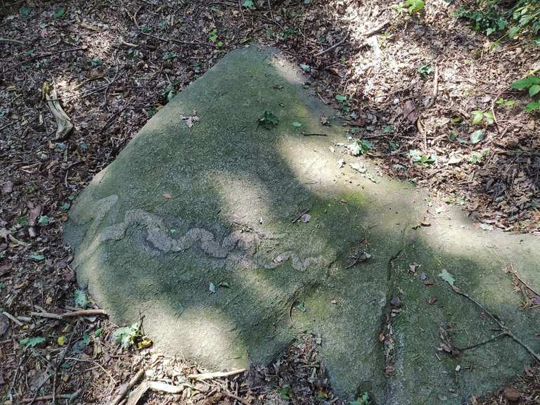 Drachenstein bei Donnern : Radtouren und Radwege | komoot