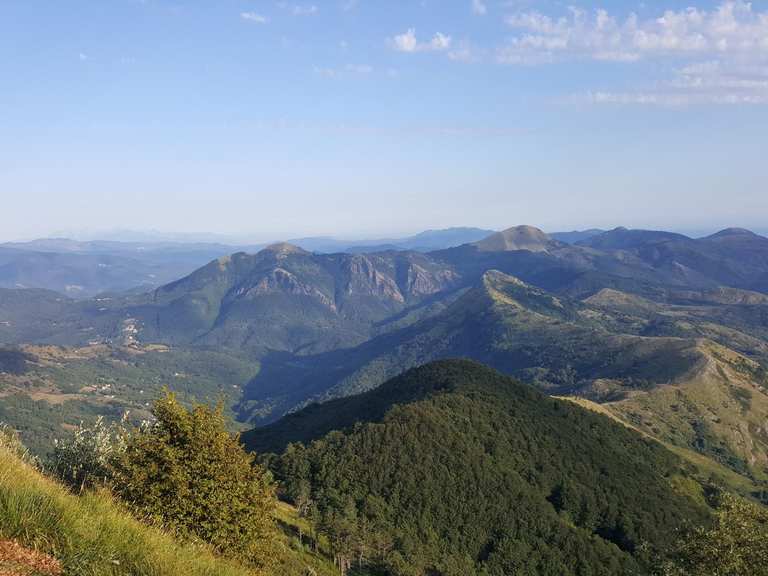 Monte Prato Pinello and Passo del Gatto – loop tour | hike | Komoot