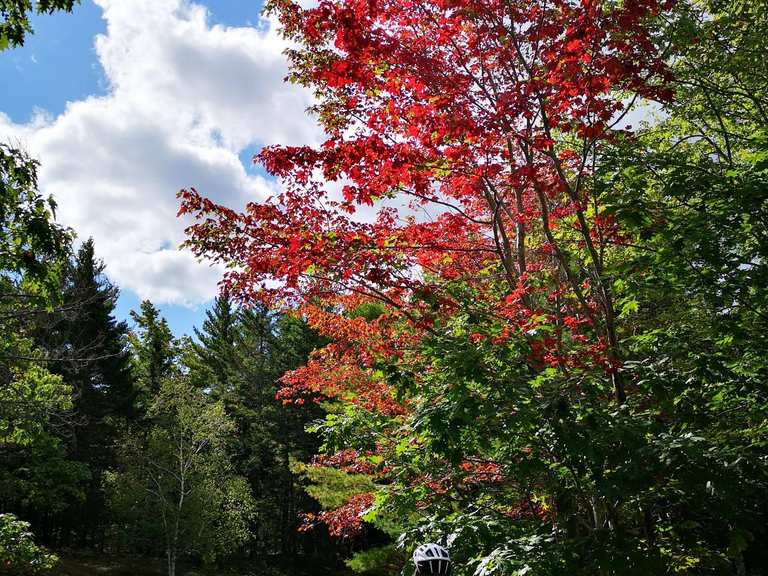 Witch Hole Pond Carriage Road loop — Acadia National Park | ride | Komoot
