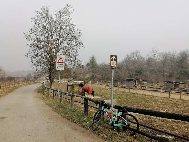 Ciclabile della Valtenesi : Radtouren und Radwege | komoot