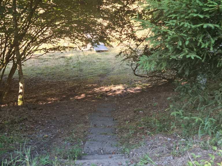 Flusslauf (Jossa): Wanderungen und Rundwege | komoot