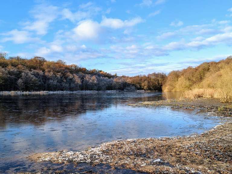 Sutton Park Routes for Walking and Hiking | Komoot