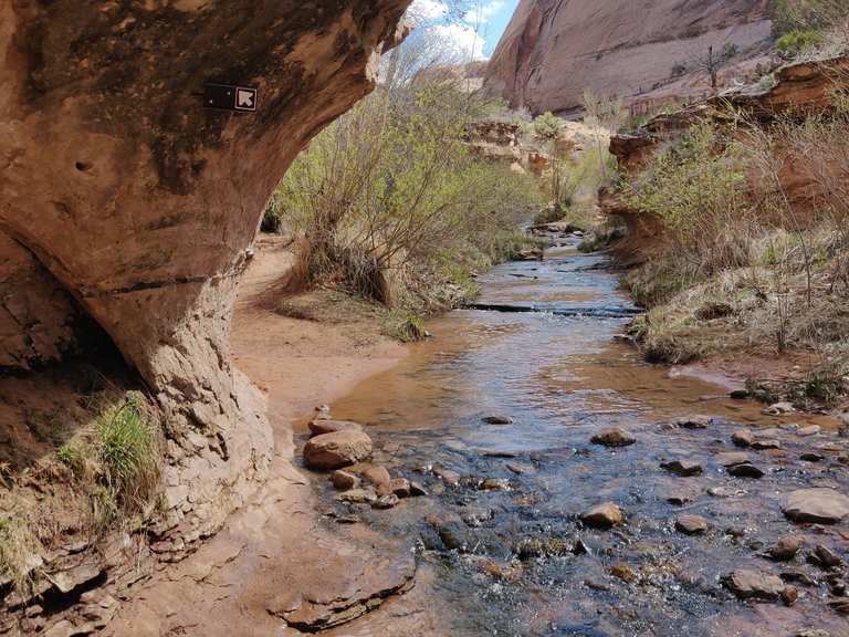 Durch den Grandstaff Canyon zur Morning Glory Natural Bridge – Moab ...