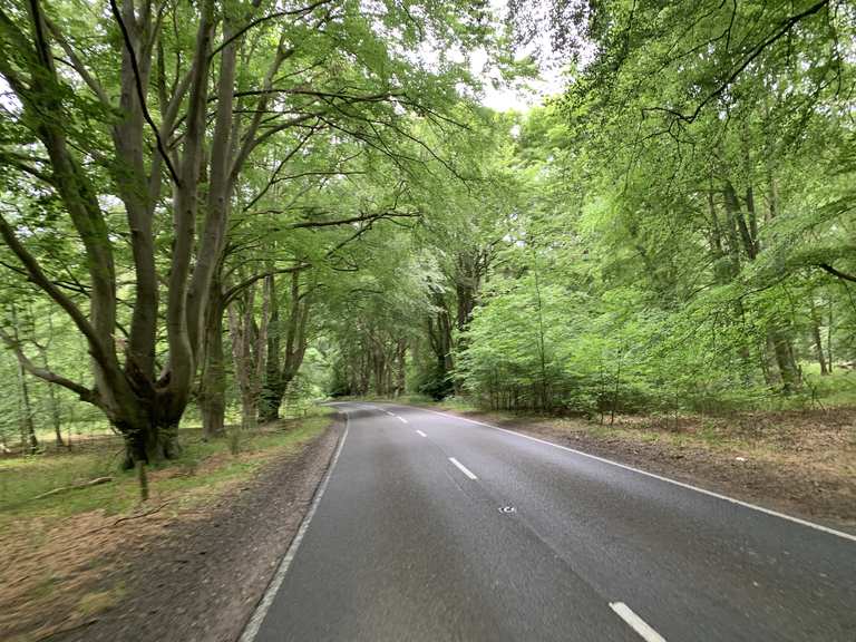 The King's Forest - Road Cycle Routes and Map | Komoot