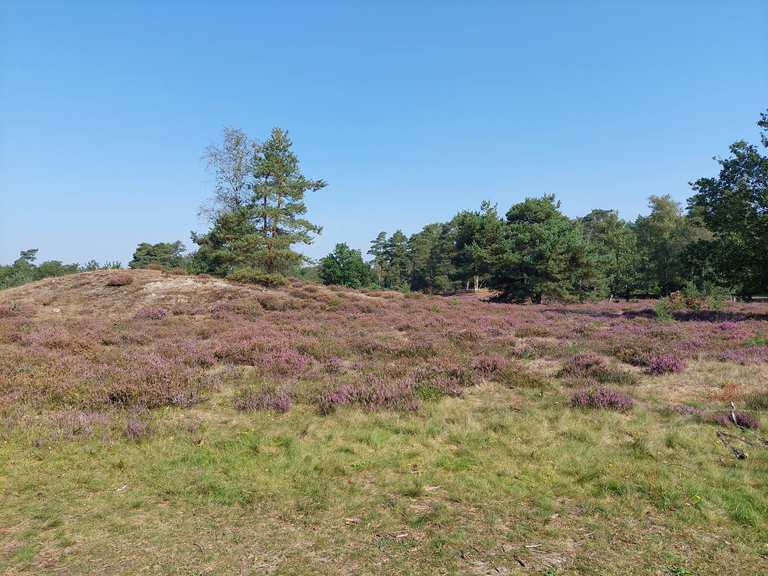 Entlang der Kale Duinen - Drents-Friese Wold National Park | Wanderung ...