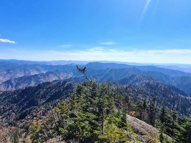 Mount LeConte viewpoints via Alum Cave Trail — Great Smoky Mountains ...
