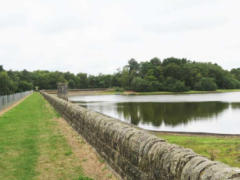 Carlesmoor Beck und Lumley Moor Reservoir Schleife von High Grantley ...