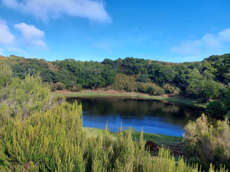 Levada dos Cedros e Fanal - trilha circular PR14 na Ilha da Madeira ...