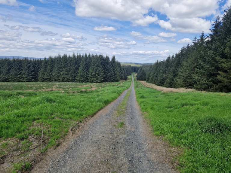 Kielder Forest - amazing gravel section Cycle Routes and Map | Komoot