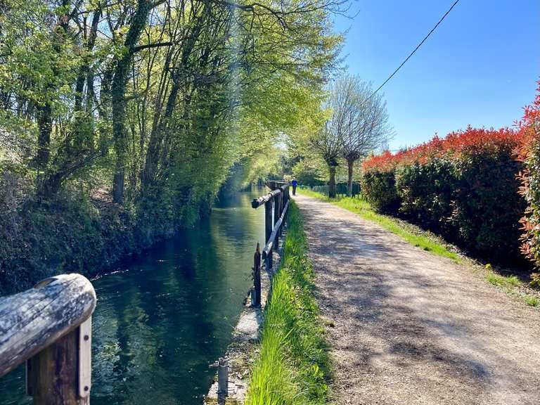 Via Stradone del Bosco fietsroutes en kaart | Komoot