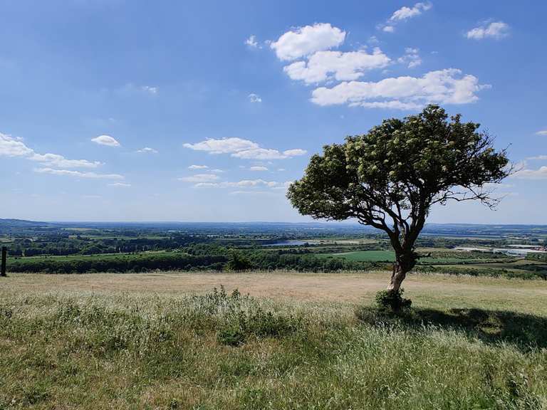 Boucle d’Ivinghoe Beacon et du Ridgeway Trail depuis la gare de Tring ...