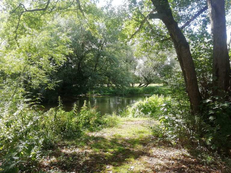 Lovely walk along the river Nadder: Wanderungen und Rundwege | komoot