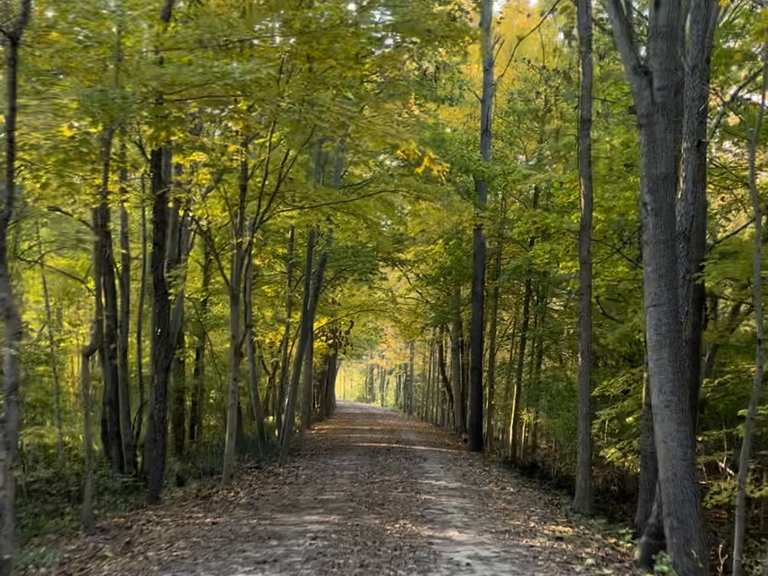 Bald Mountain loop via Painted Creek Trail — Pontiac | gravel ride | Komoot