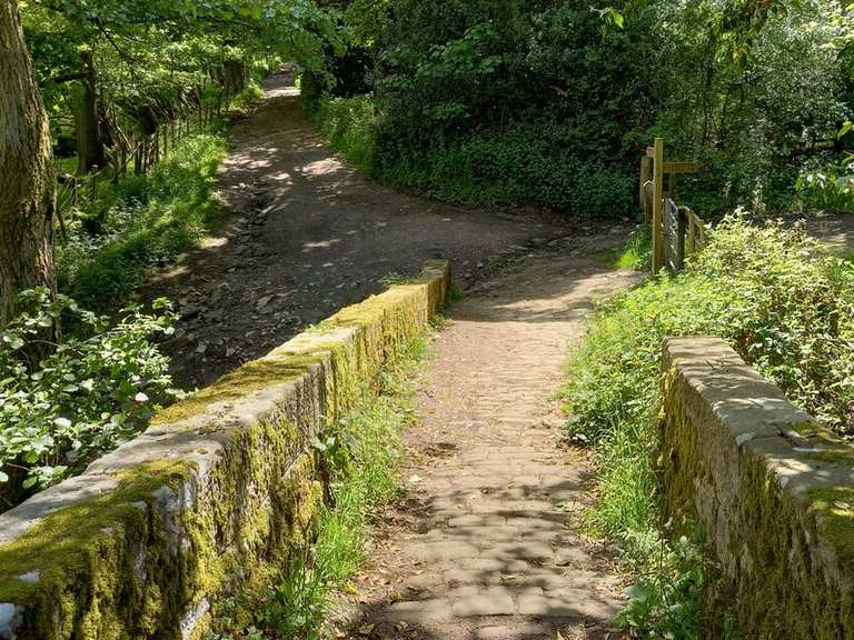 Dob Park Bridge Routes for Walking and Hiking | Komoot