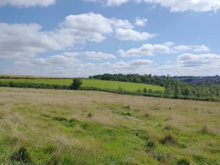 Loscoe Dam: Wanderungen und Rundwege | komoot