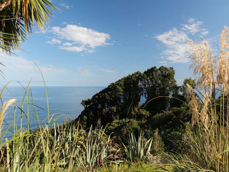 Knights Point : Radtouren und Radwege | komoot