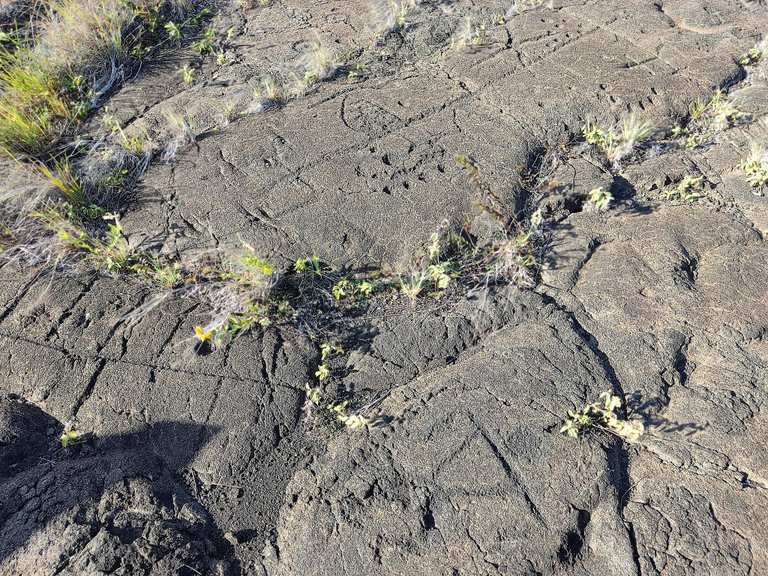 Kealakomo Overlook to Pu‘uloa Petroglyphs via Chain of Craters Road ...