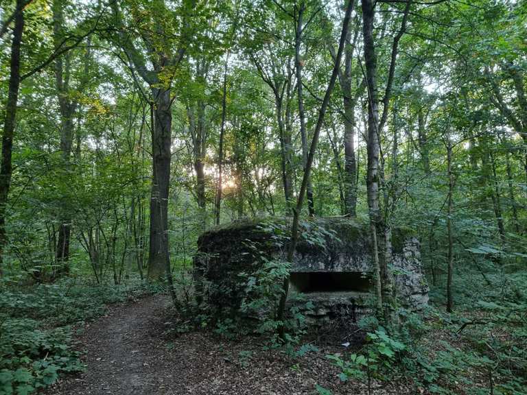 bois du gheer et de la hutte Ploegsteert : Radtouren und Radwege | komoot