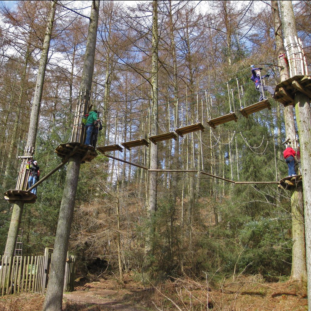 Walking and running trails at Dalby Forest | Hiking Collection by komoot