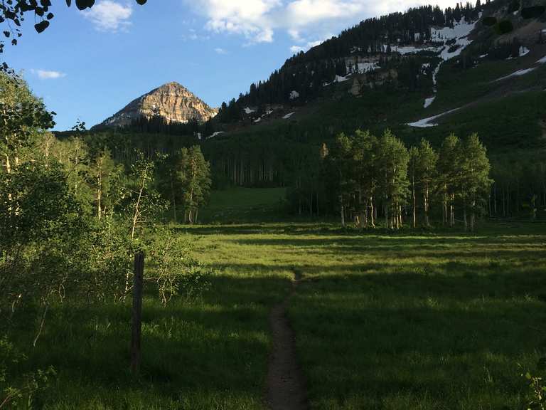Pine Hollow Trail loop - Foresta Nazionale di Uinta-Wasatch-Cache Tour Highlight: - Paesaggi ...