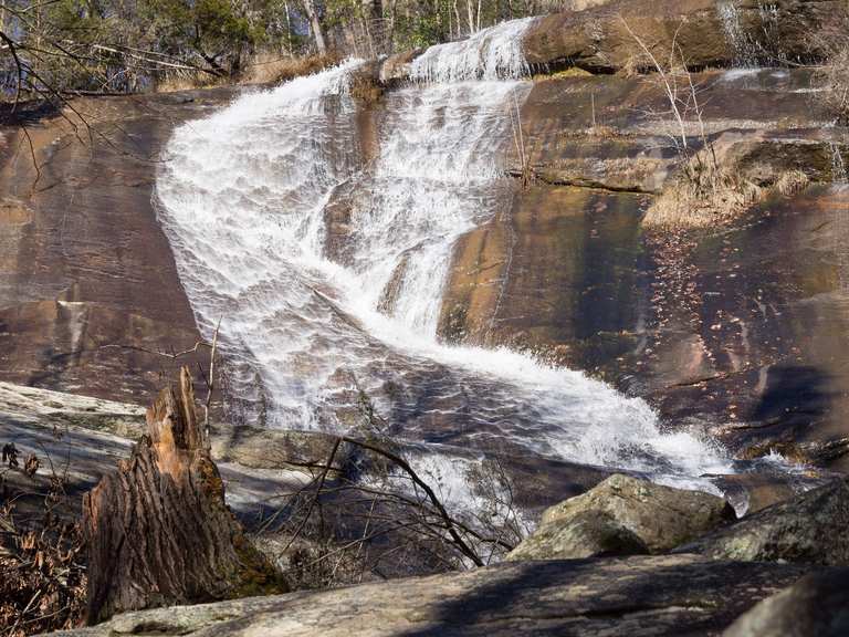Boucle du sentier nature Wildcat Wayside — Mountain Bridge Wilderness ...