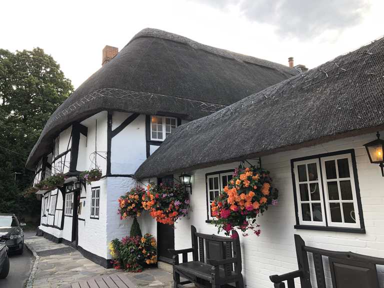 Bordon and Petersfield loop from Rowlands Castle – South Downs National ...