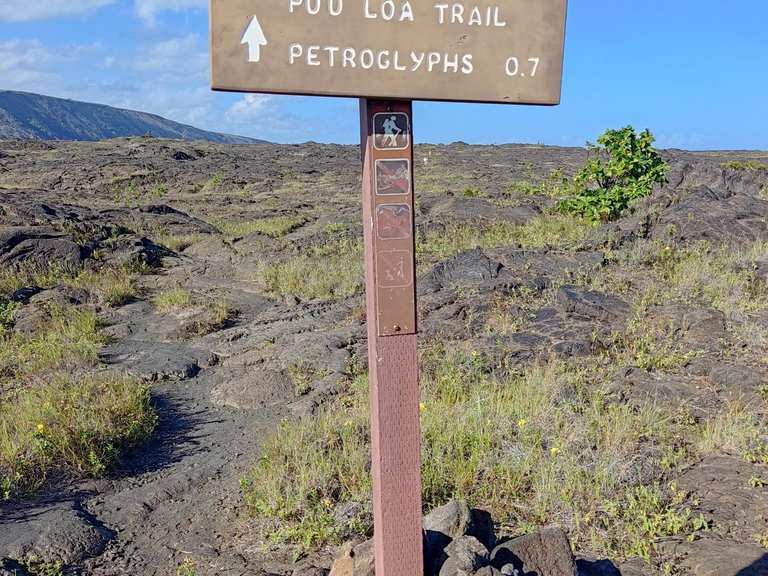 De Kealakomo Overlook à Pu‘uloa Petroglyphs via Chain of Craters Road ...