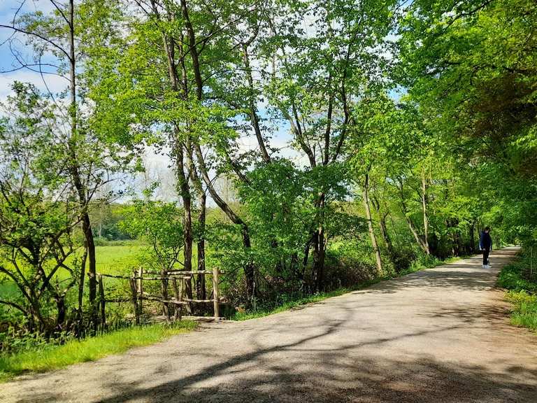 Les bois de Misinto et l'Oasis Lentate sul Seveso - le Tour dans le ...