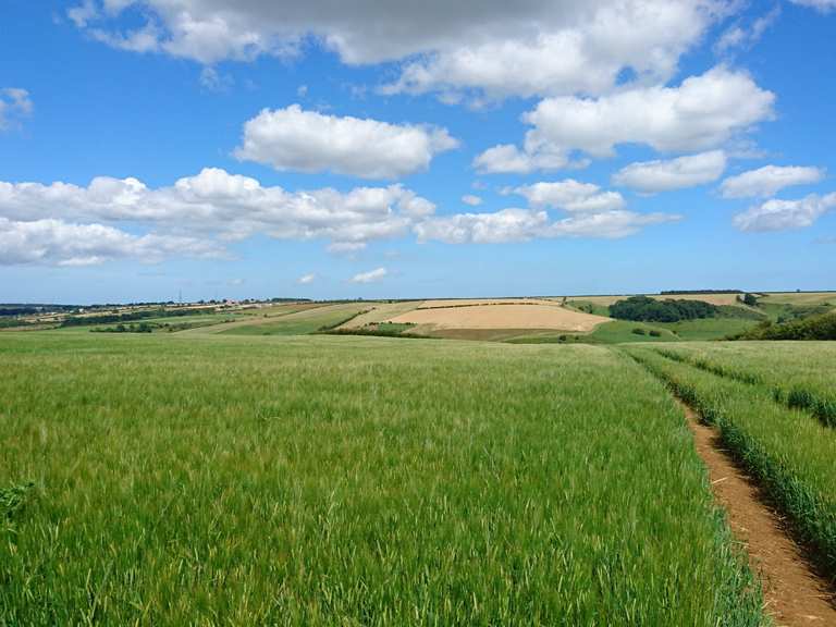 From Nettleton Hill to Hatcliffe loop — Lincolnshire Wolds AONB ...