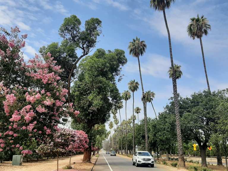 Van Buren Drive-In Theatre via Rosanna Scott Memorial Bike Trail — Riverside | ツーリング | komoot