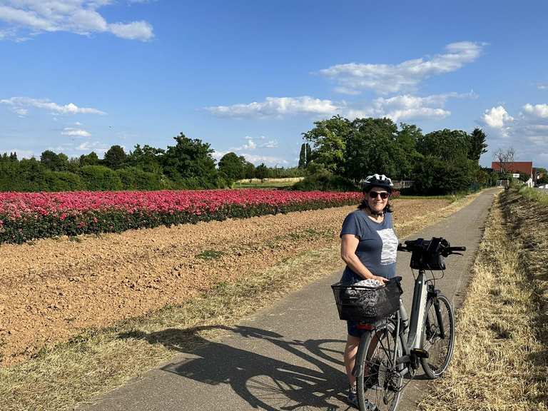 Entlang der alten Bahnstrecke von/nach Lingenfeld ↔ Westheim: Radtouren ...