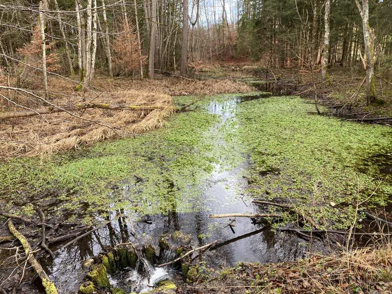 Wanderweg Aubach: Wanderungen und Rundwege | komoot